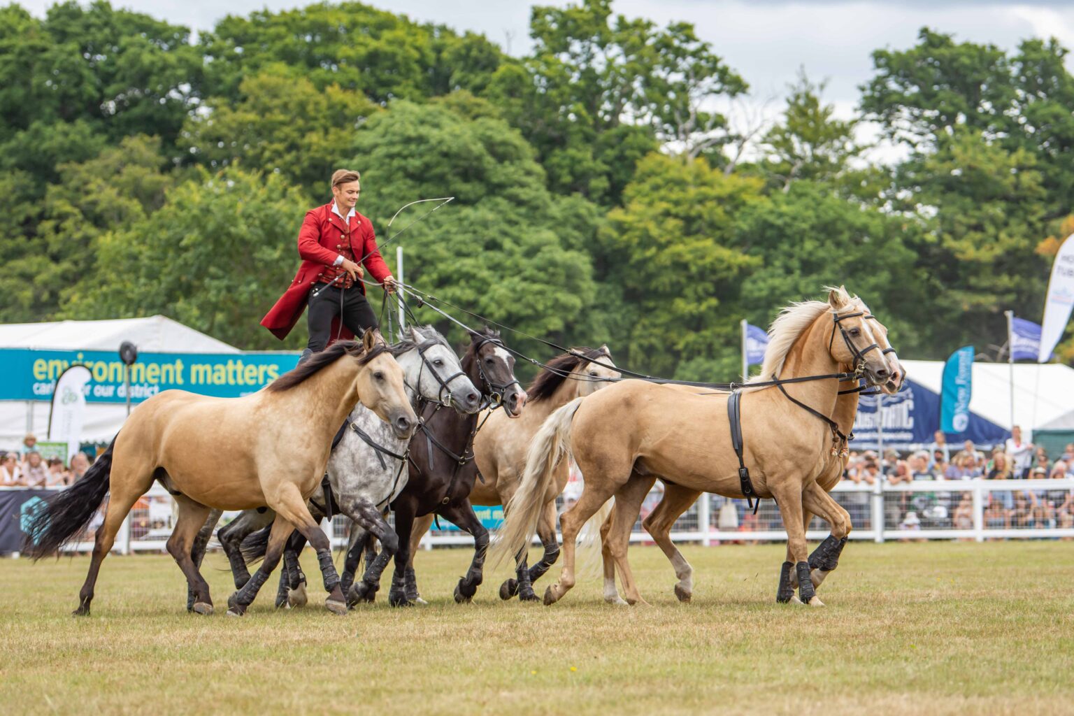 Tickets - New Forest Show